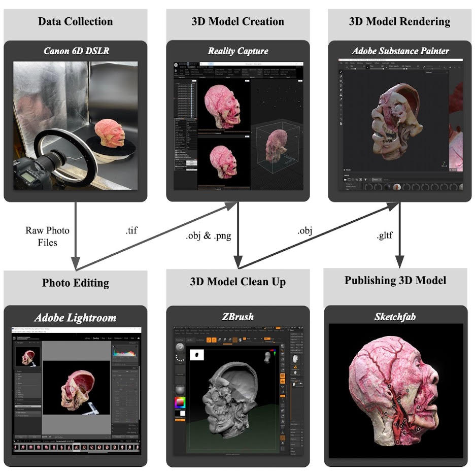 Plastinated instructional assets utilization during collaborative ...