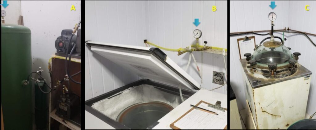 Establishment and Operationalization of a Low-Budget Plastination ...