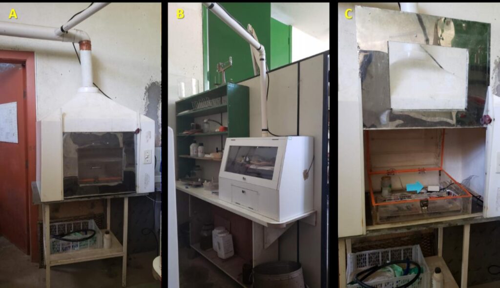 Establishment and Operationalization of a Low-Budget Plastination ...