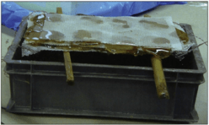 Epoxy Plastination of Biological Tissue: E12 Technique - The Journal of ...