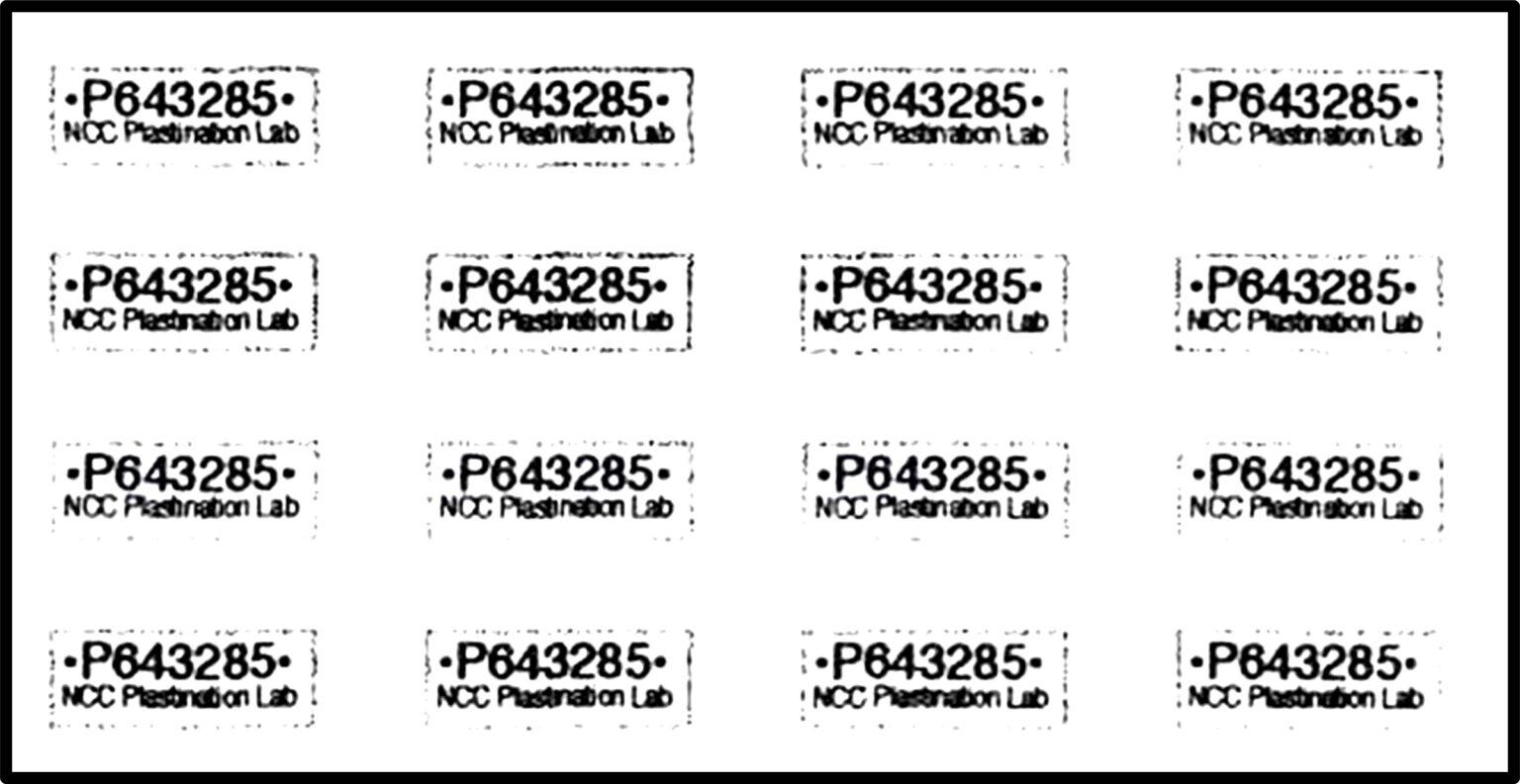 An Inexpensive Method of Labelling Plastinated Specimens - The Journal ...
