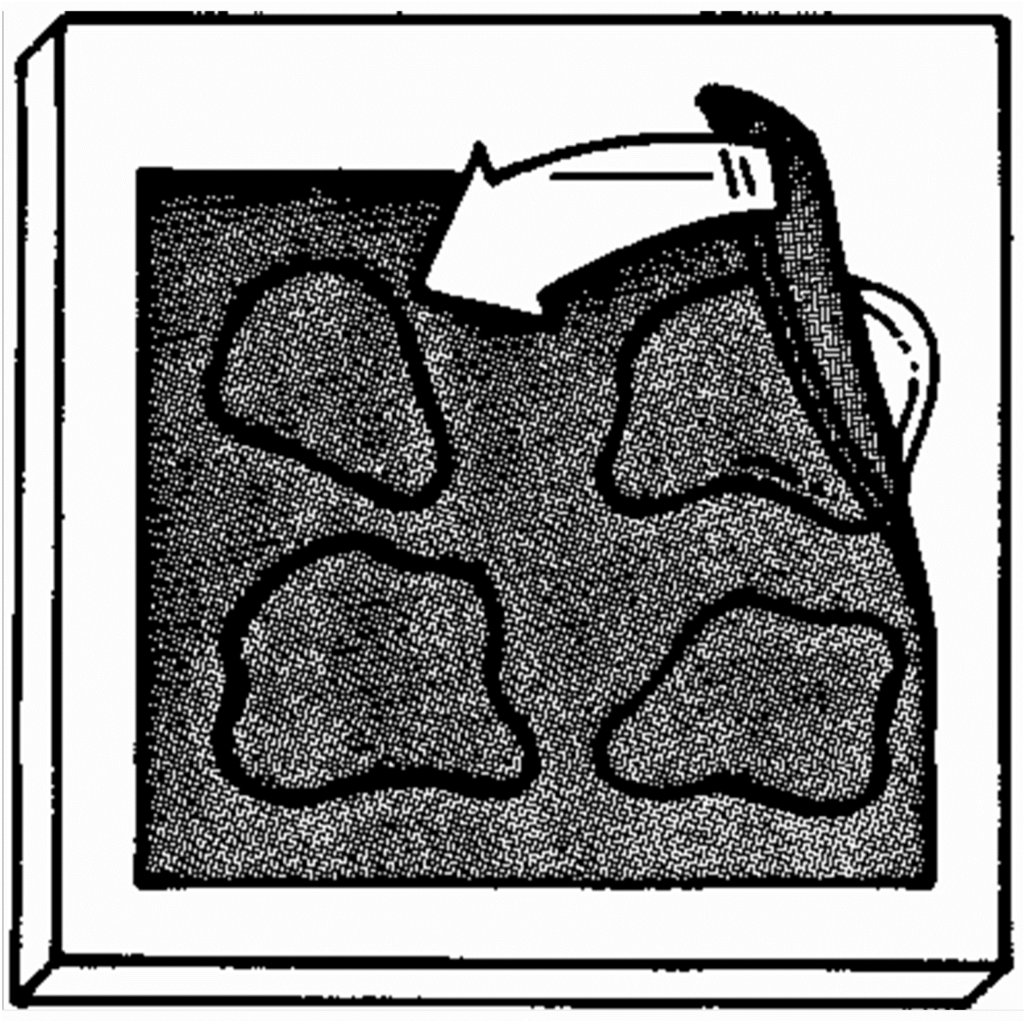 Sheet Plastination of Body Slices - E 12 Technique, Filling Method ...
