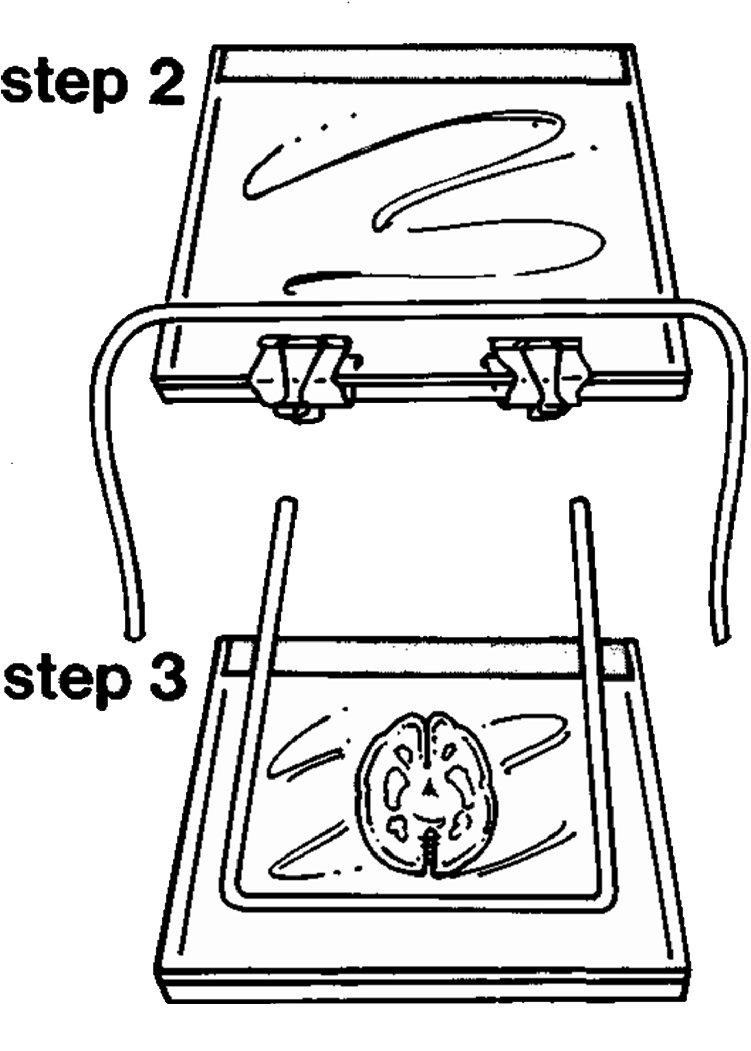 Sheet Plastination of The Brain - P 35 Technique, Filling Method - The ...